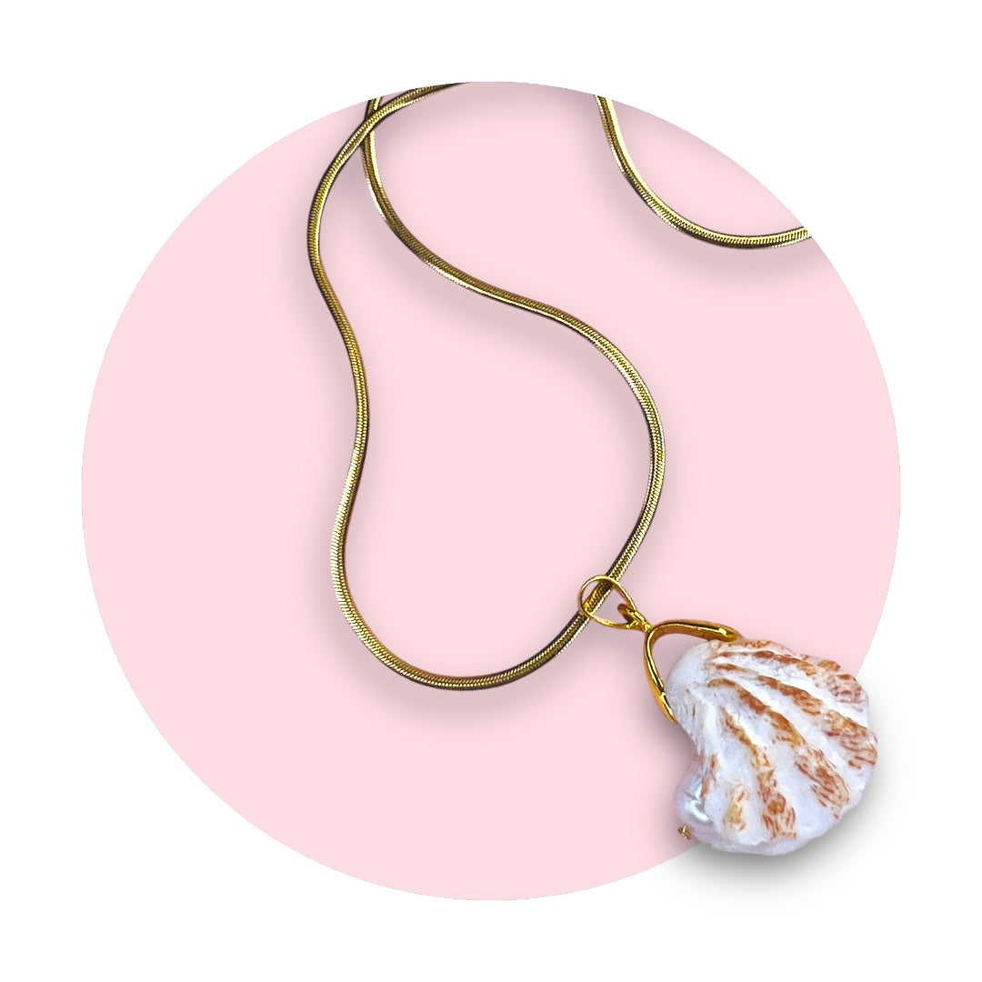 Atlantic Kitten's Paw & Spiny Jewel Box – 'Sota Seashells