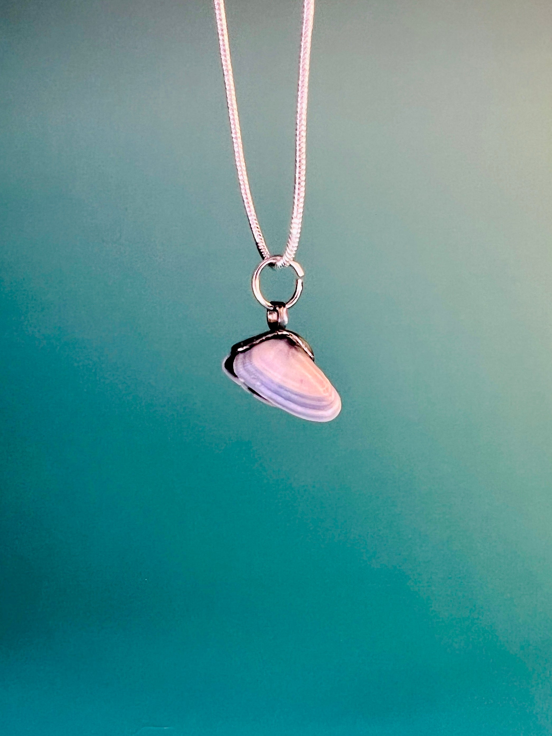 Coquina Pearl Locket Charm Necklace - Pilot Product – 'Sota Seashells